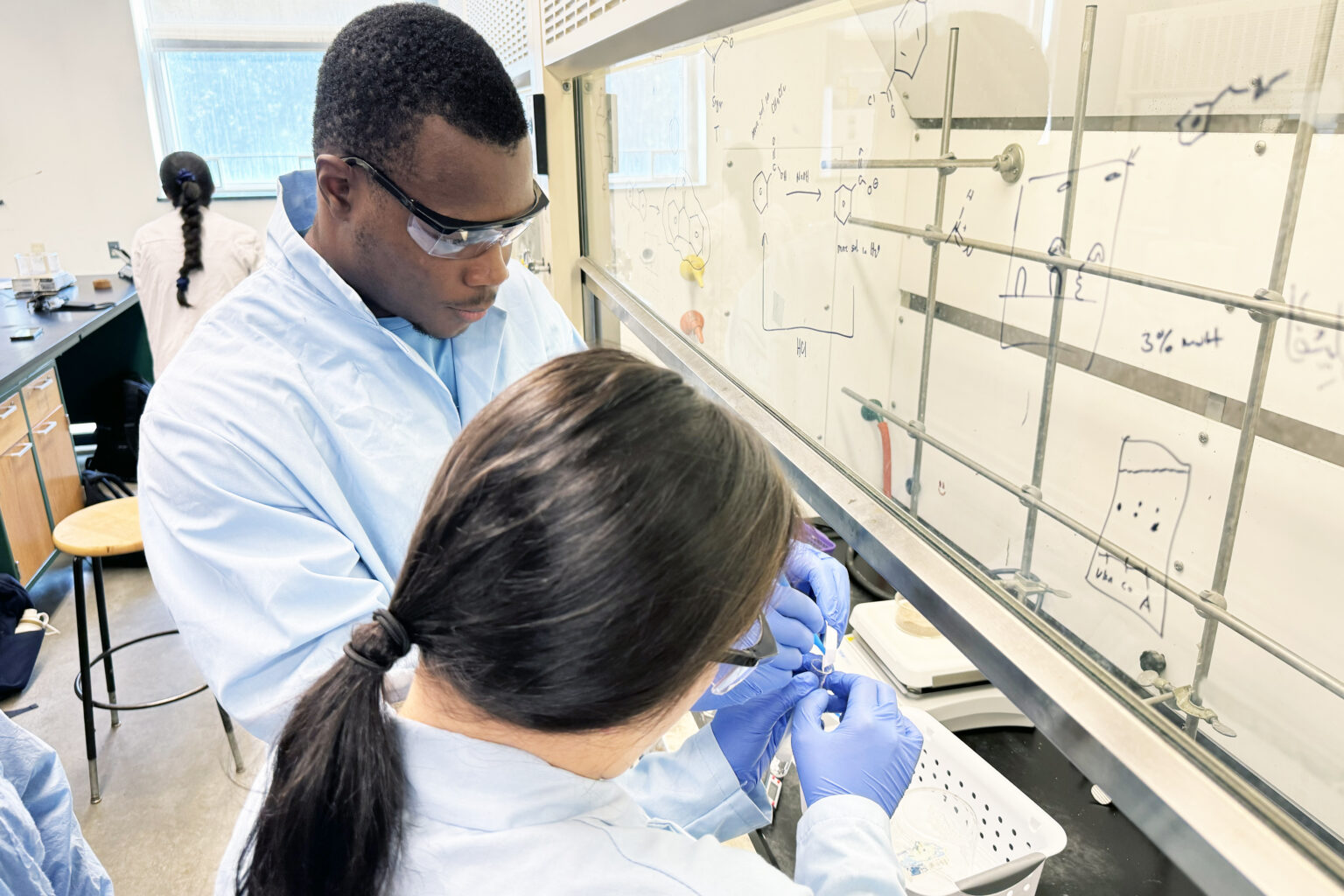 Chemistry Bachelors Degree Program Massachusetts | Major