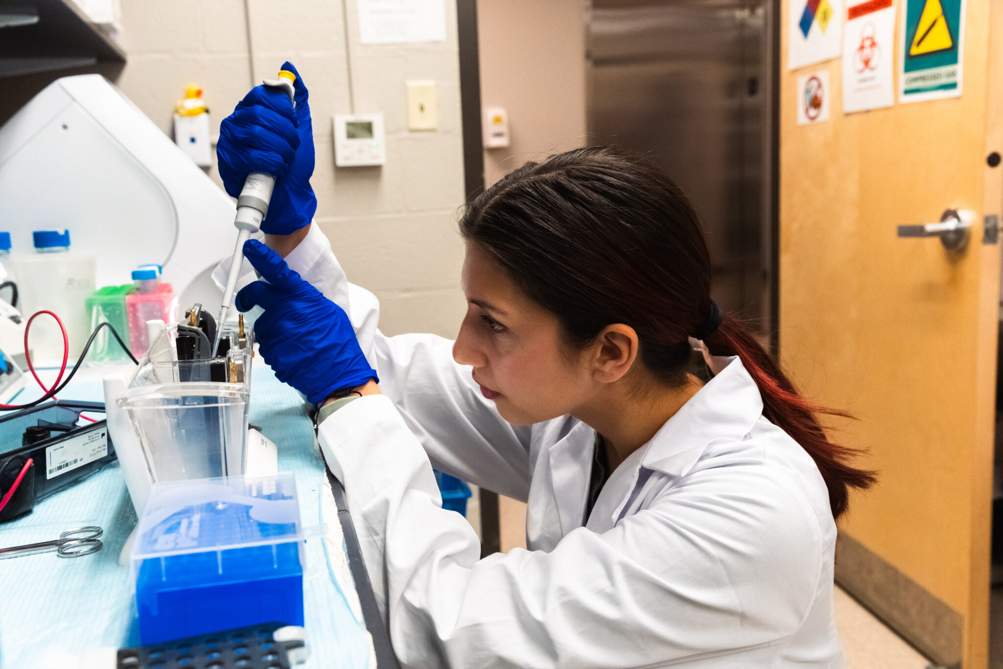 Program Finder | Merrimack College Majors, Minors, Masters
