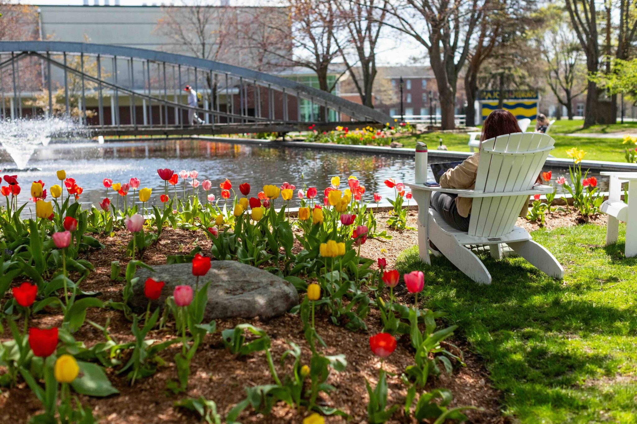 Undergraduate Admissions Merrimack | Apply To Merrimack College